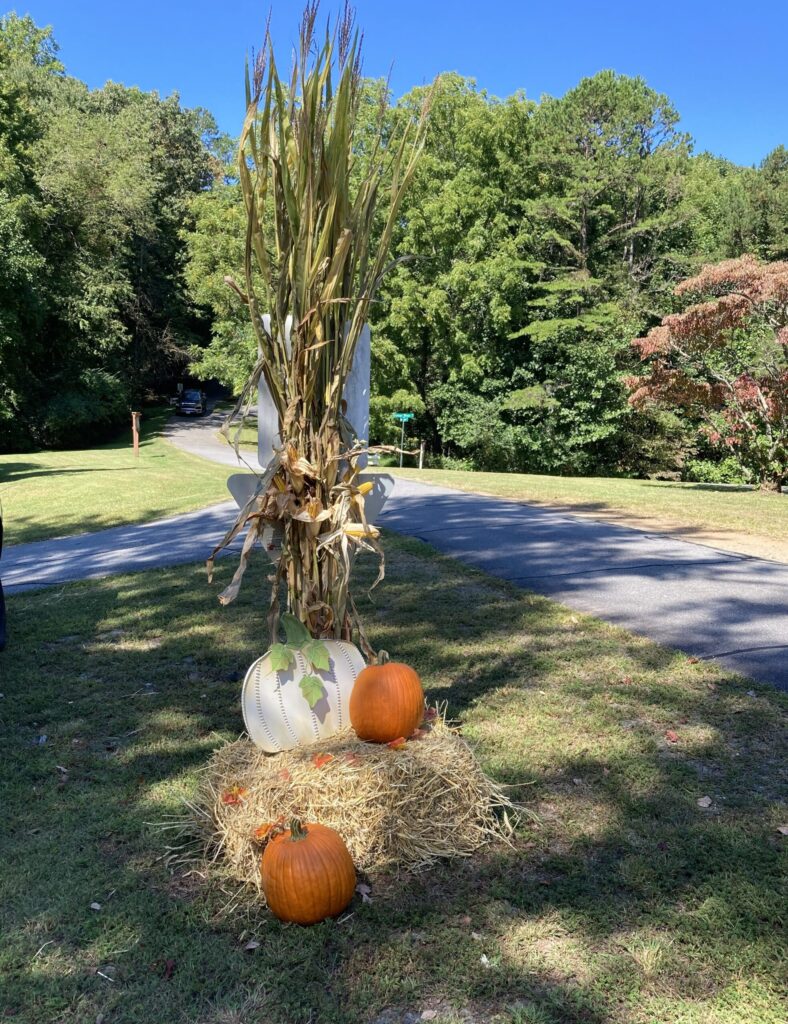 Fall in the Village 2022 - The Chatuge Village Community Association